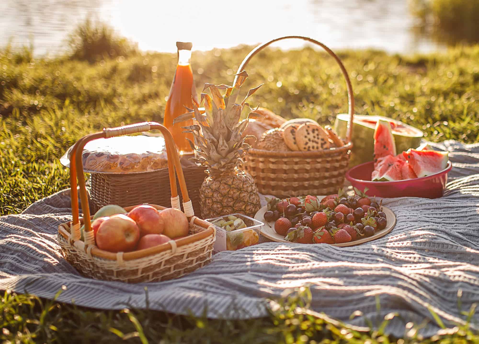 Power Up Your Picnic Skills With These Menu Ideas - Altis 55+